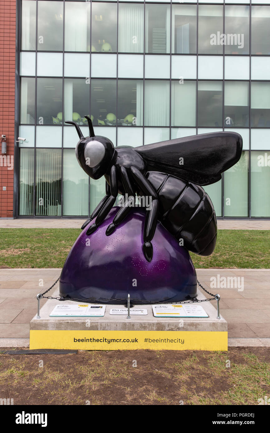 James Grigor Square (58 of 101 Stock Photo - Alamy