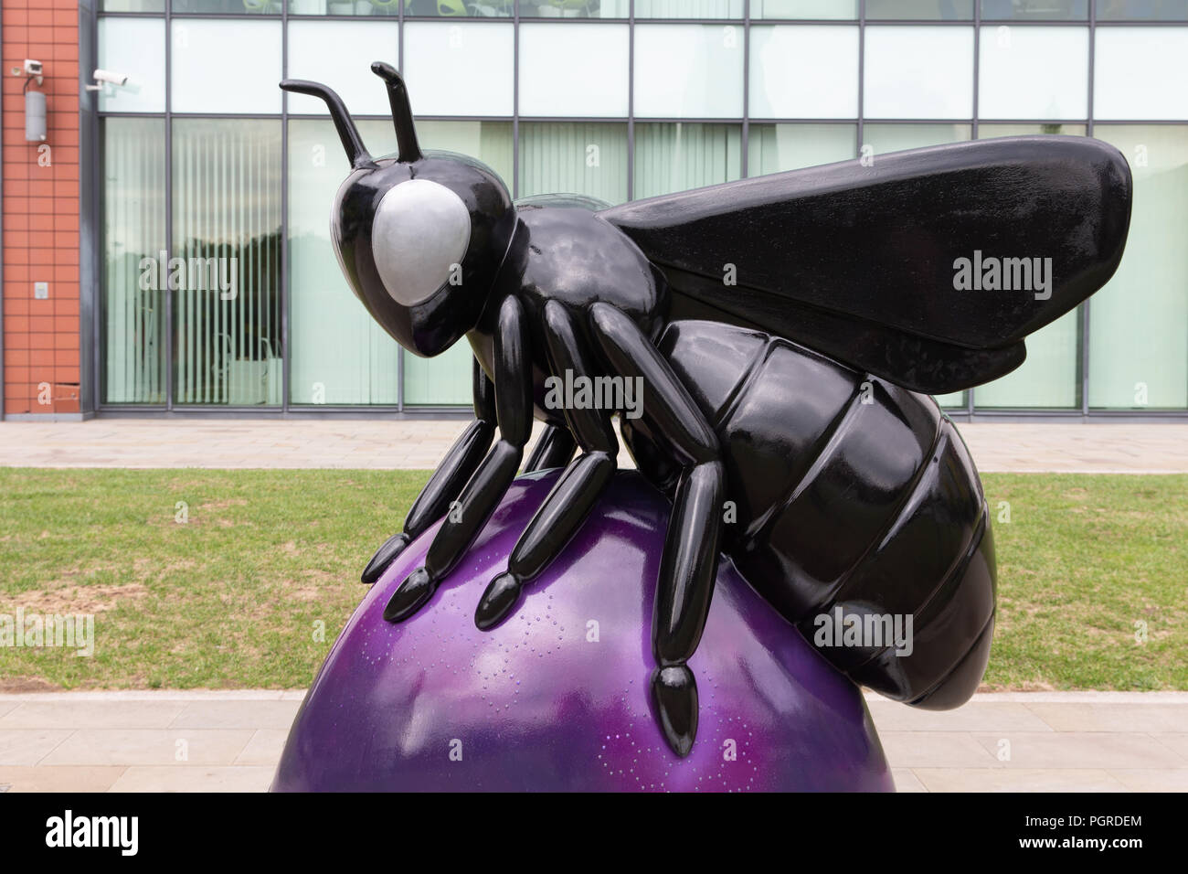 James grigor hi-res stock photography and images - Alamy