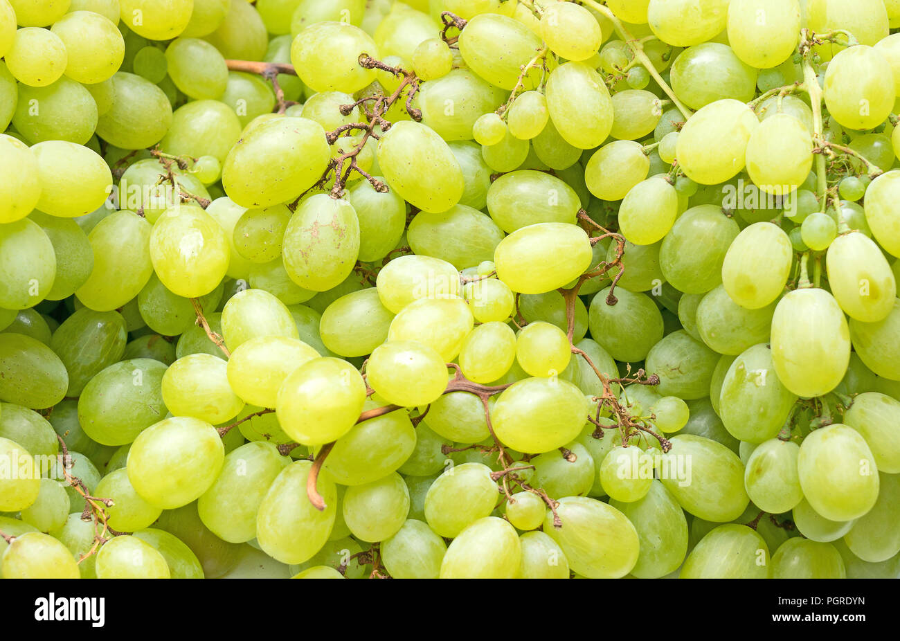 Fleshy grapes hi-res stock photography and images - Alamy