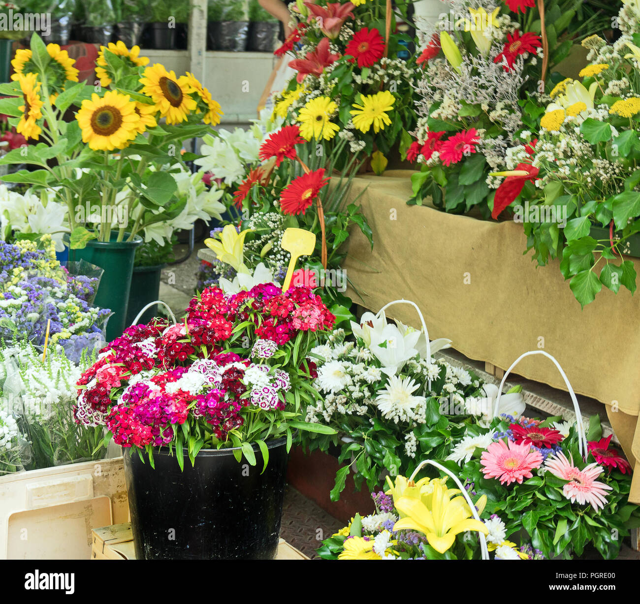Flower market with variety of flowers Stock Photo - Alamy