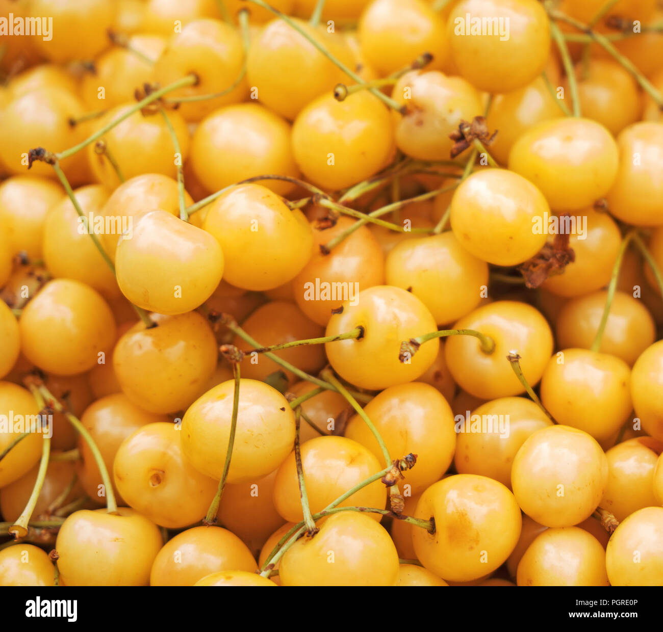 Lot of ripe yellow cherries in the supermarket Stock Photo - Alamy