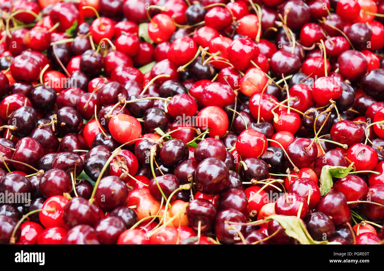 Lot of ripe red cherries in the supermarket Stock Photo - Alamy