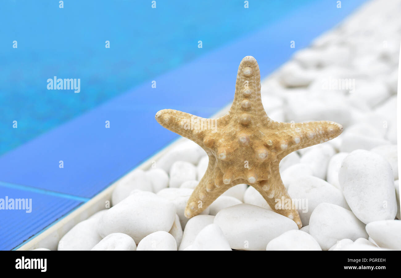 Starfish on white stones by the pool Stock Photo - Alamy