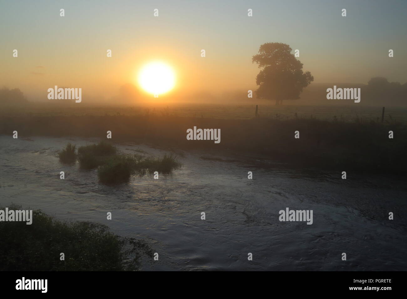 Devon morning mist hi-res stock photography and images - Alamy