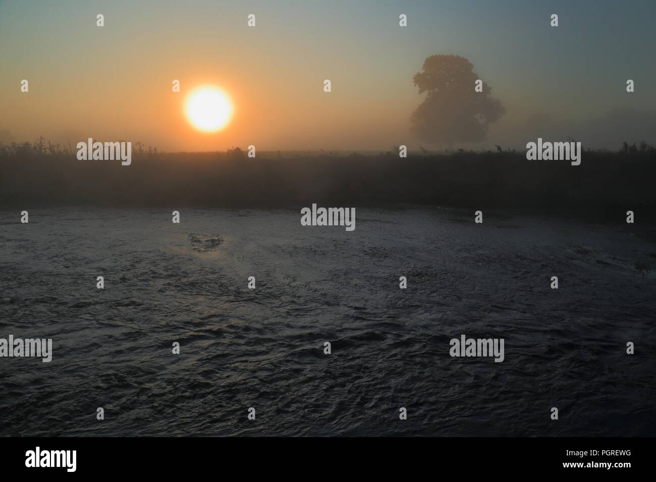 Devon morning mist hi-res stock photography and images - Alamy