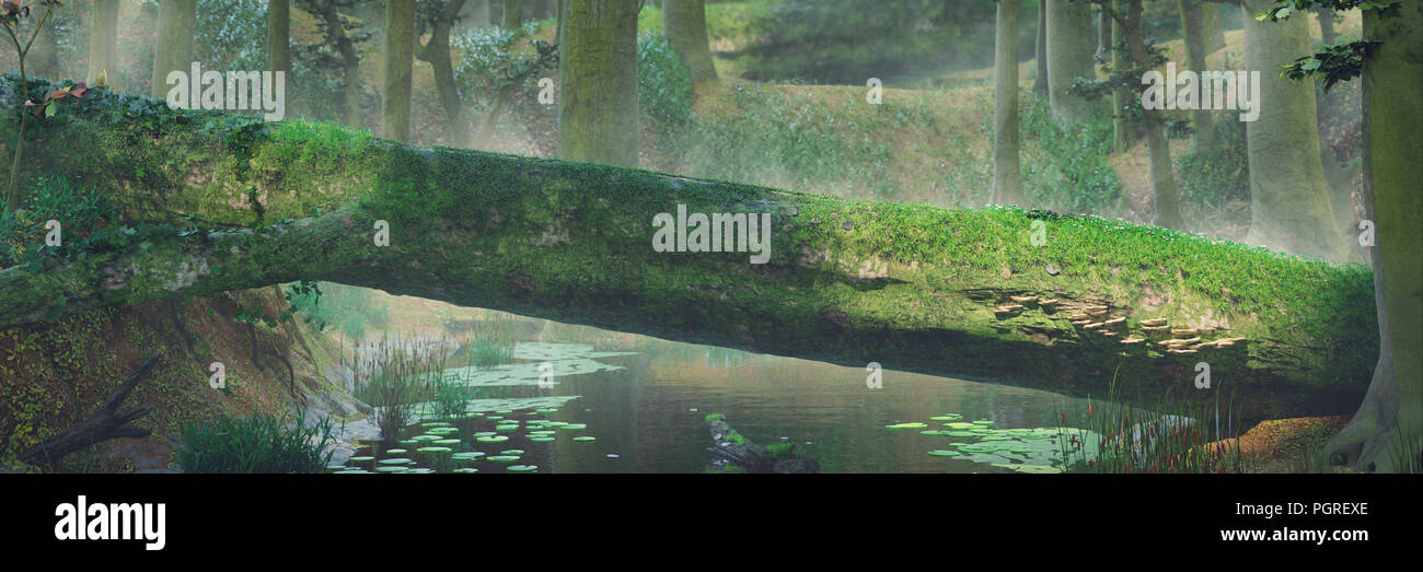 fallen tree, natural bridge in magical forest, beautiful fantasy forest ...