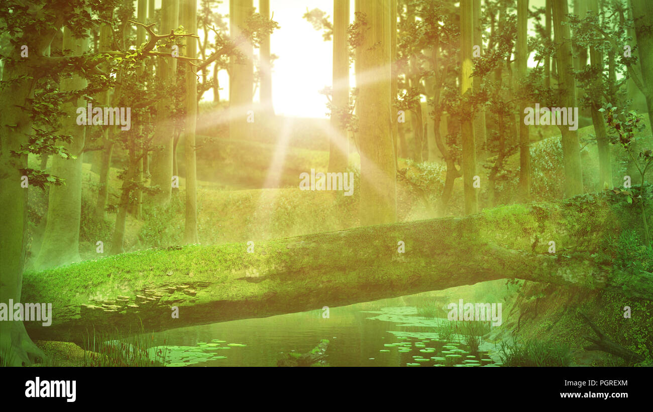 fallen tree, natural bridge in magical forest, intense sunshine in ...