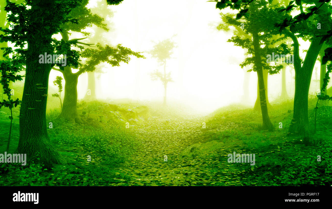 path through magical forest at sunrise, sunshine in beautiful fantasy ... path through magical forest at sunrise, sunshine in beautiful fantasy ...