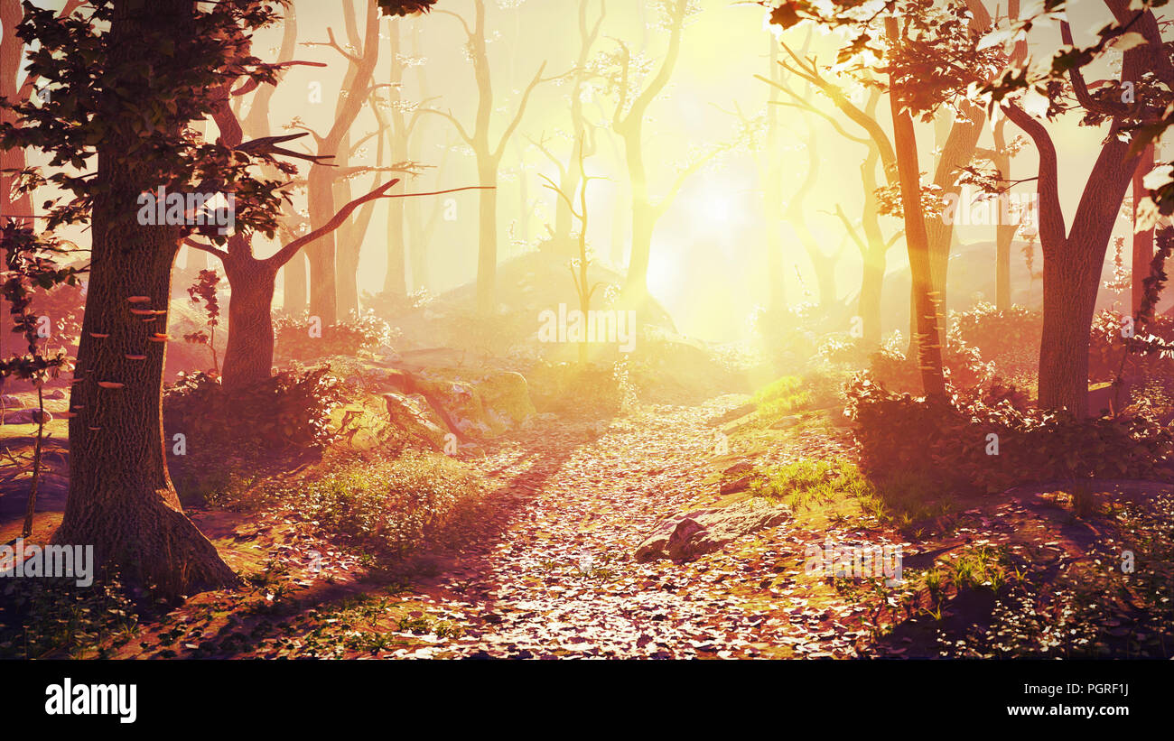 Beautiful Magical Lands