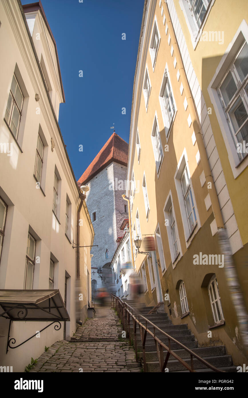 picturesque and very beautiful photos of Tallinn Stock Photo - Alamy