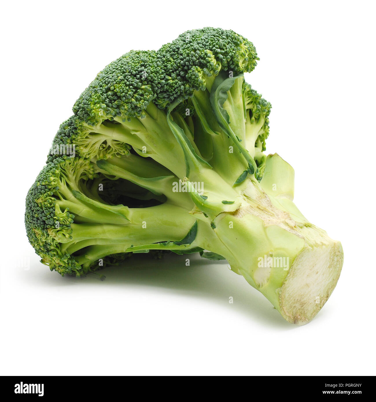 Broccoli plant Cut Out Stock Images & Pictures - Alamy