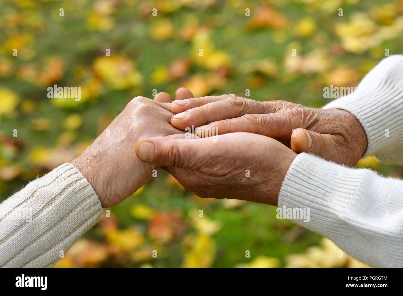 Hands in autumn hi-res stock photography and images - Alamy
