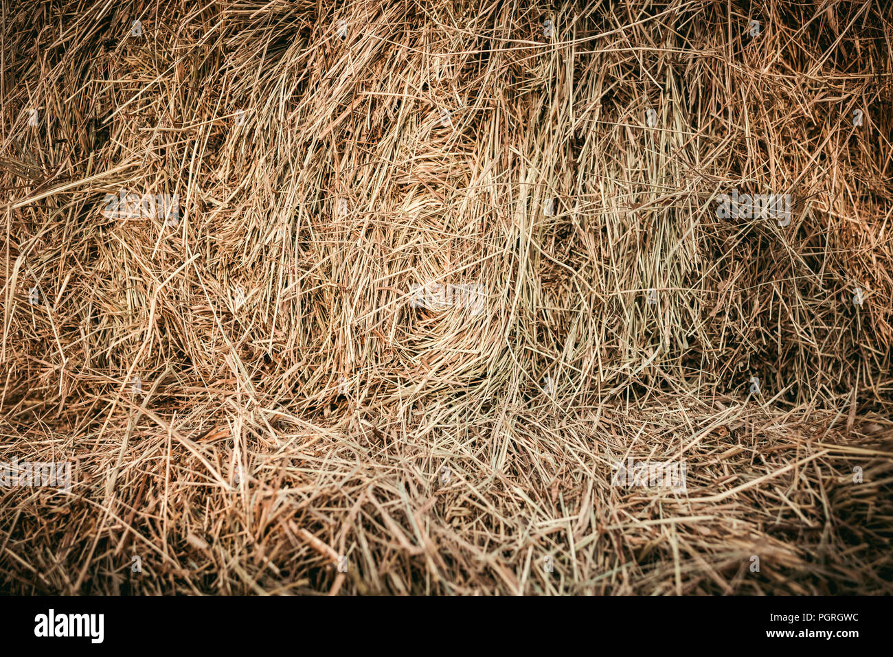 full frame image of pile of dry grass background Stock Photo - Alamy