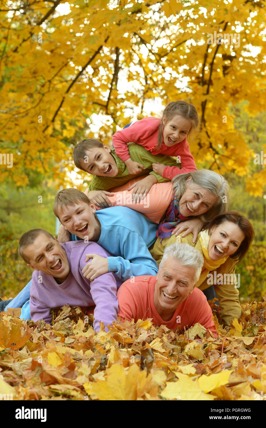 Portrait of a big family having fun Stock Photo - Alamy