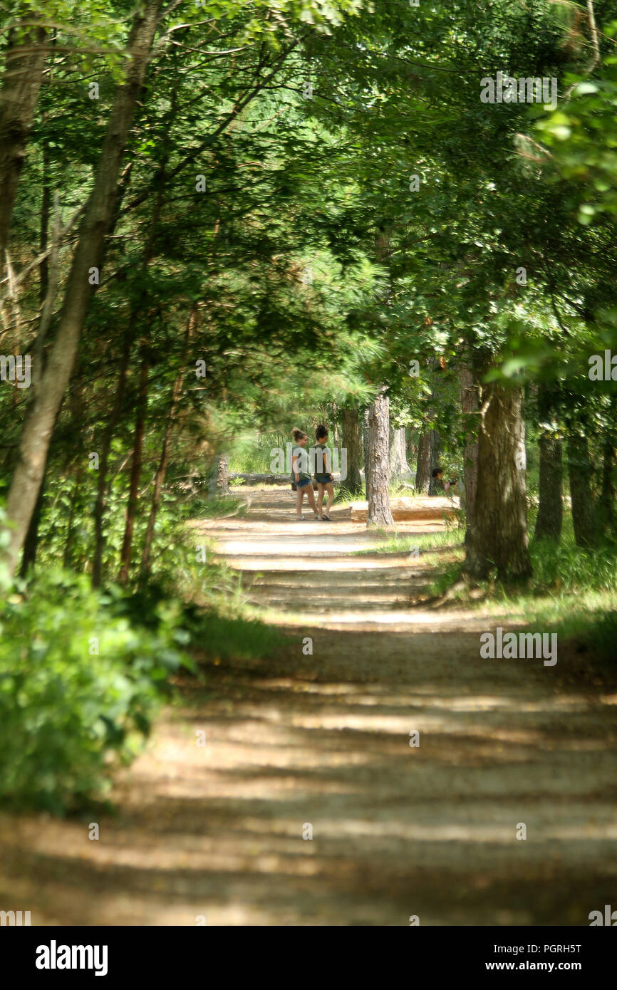 People walking on Black Point Trail on Jamestown Island, Virginia, USA ...