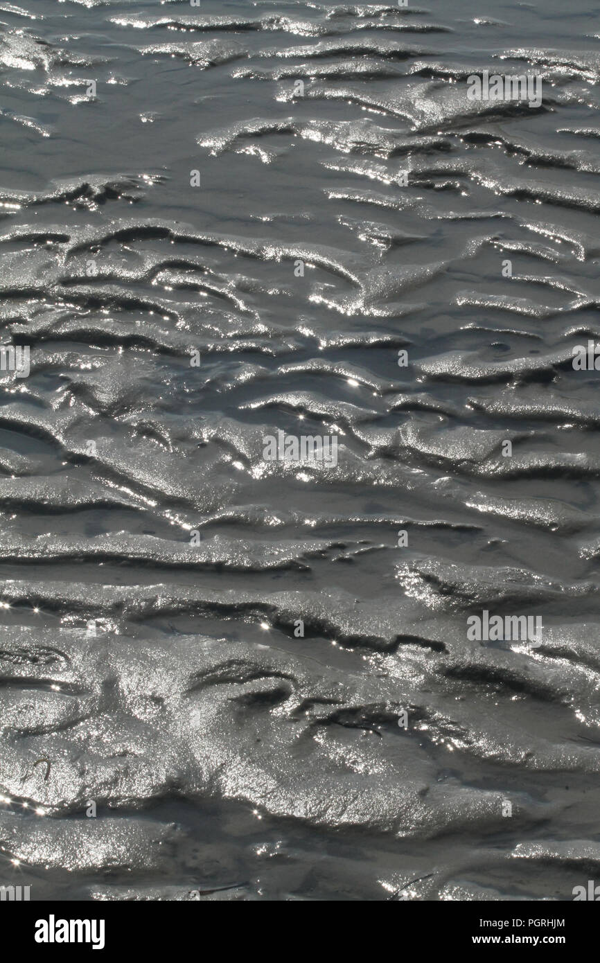 The sea during low tide at Cape Charles, Virginia Stock Photo - Alamy