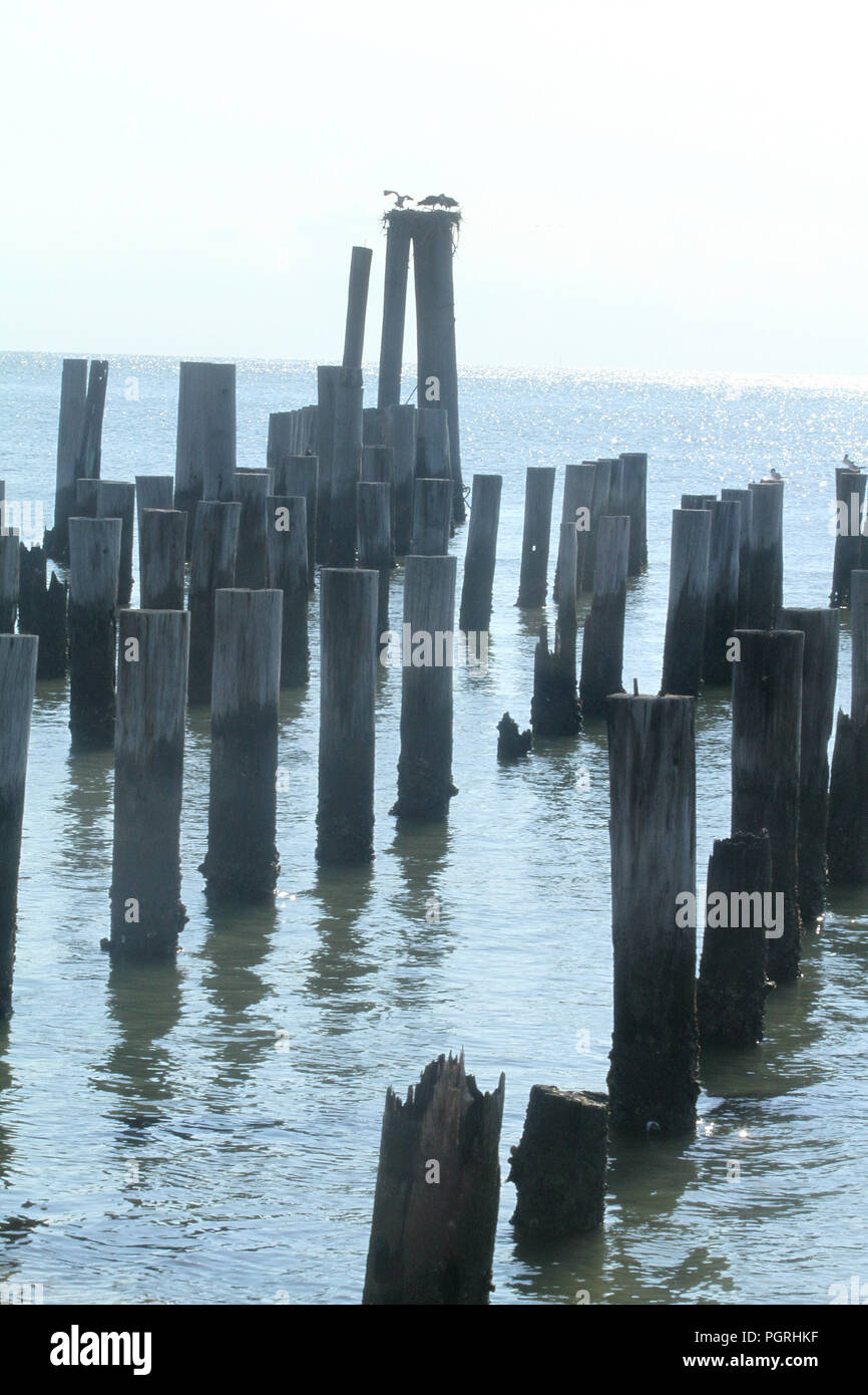 Groynes on river hi-res stock photography and images - Alamy