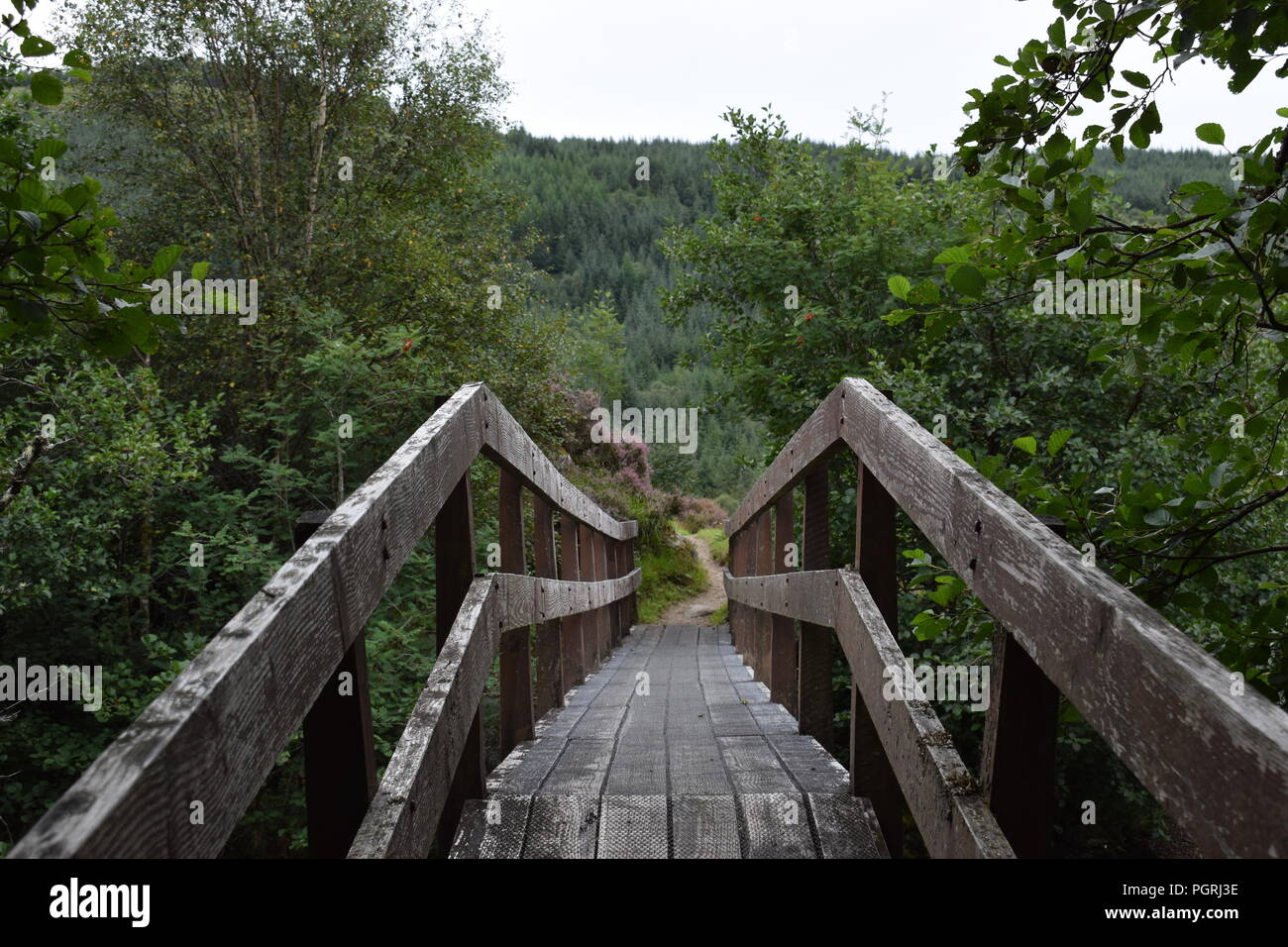 Scotland bridge trees hills hi-res stock photography and images - Alamy