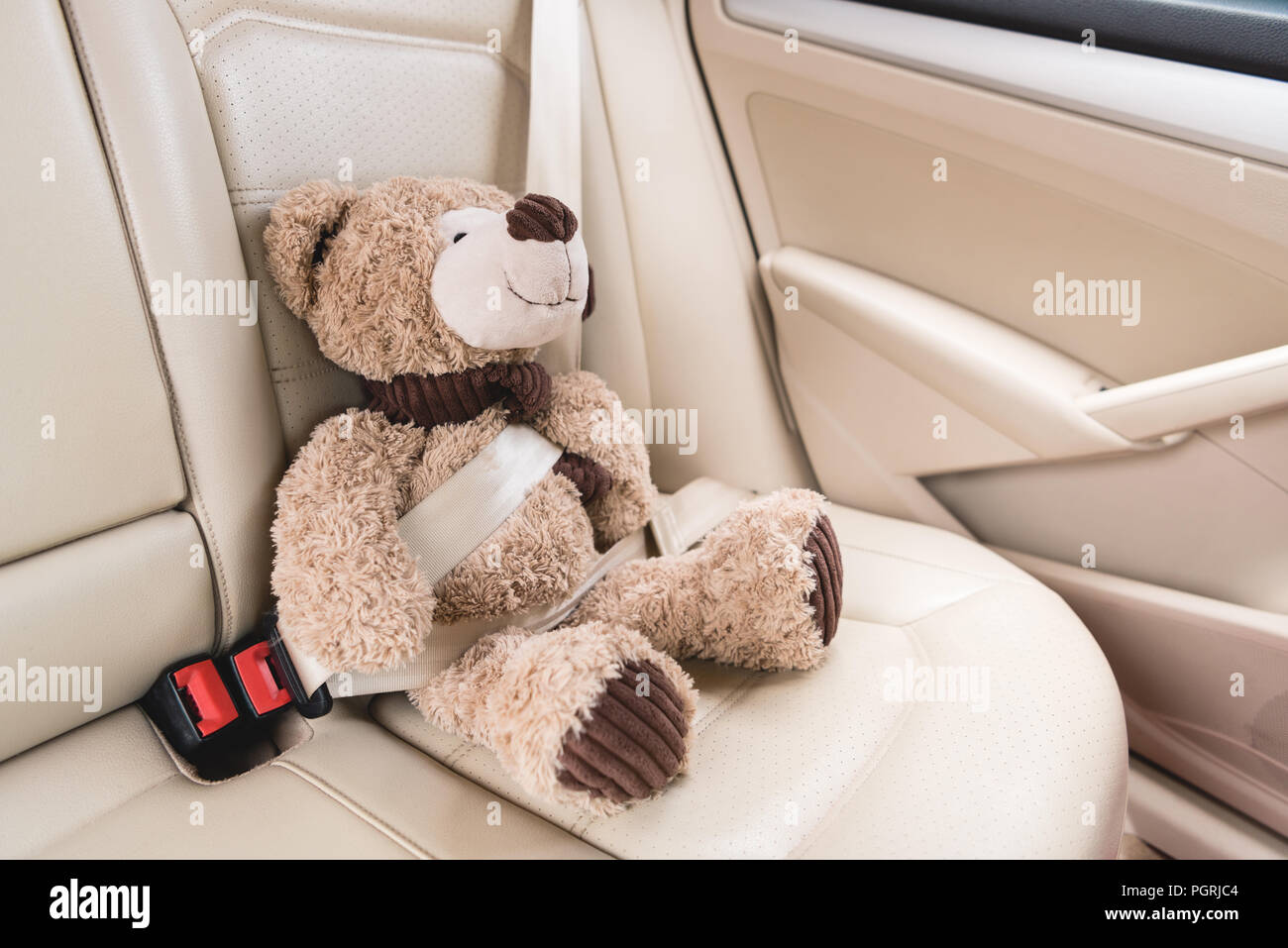 close up view of teddy bear with fastened seat belt in car Stock Photo ...