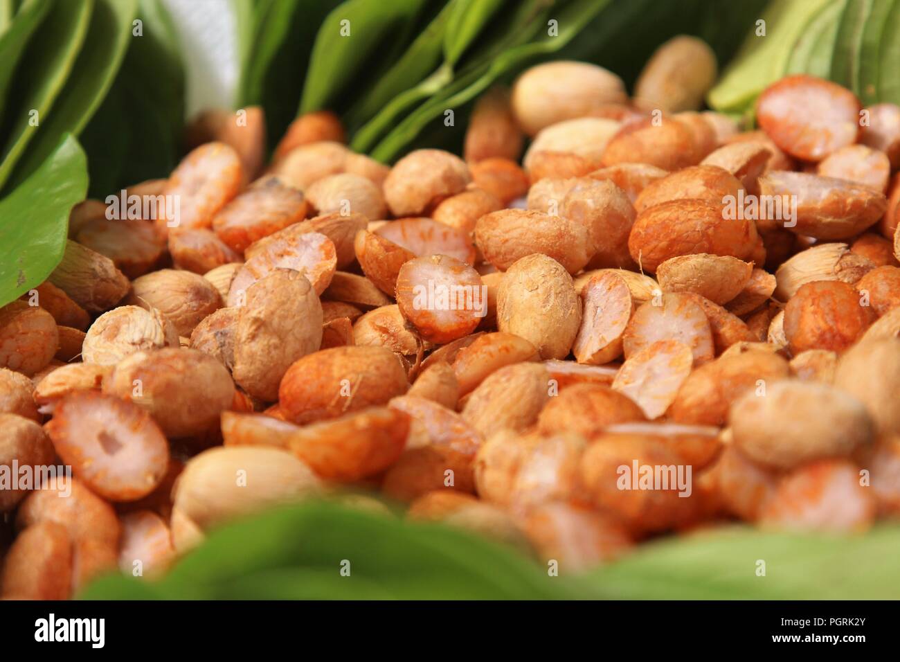 areca nuts in leaves Stock Photo - Alamy
