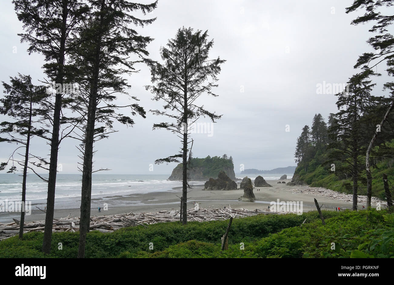 Ruby Beach, Olympic National Park, Washington, USA Stock Photo - Alamy