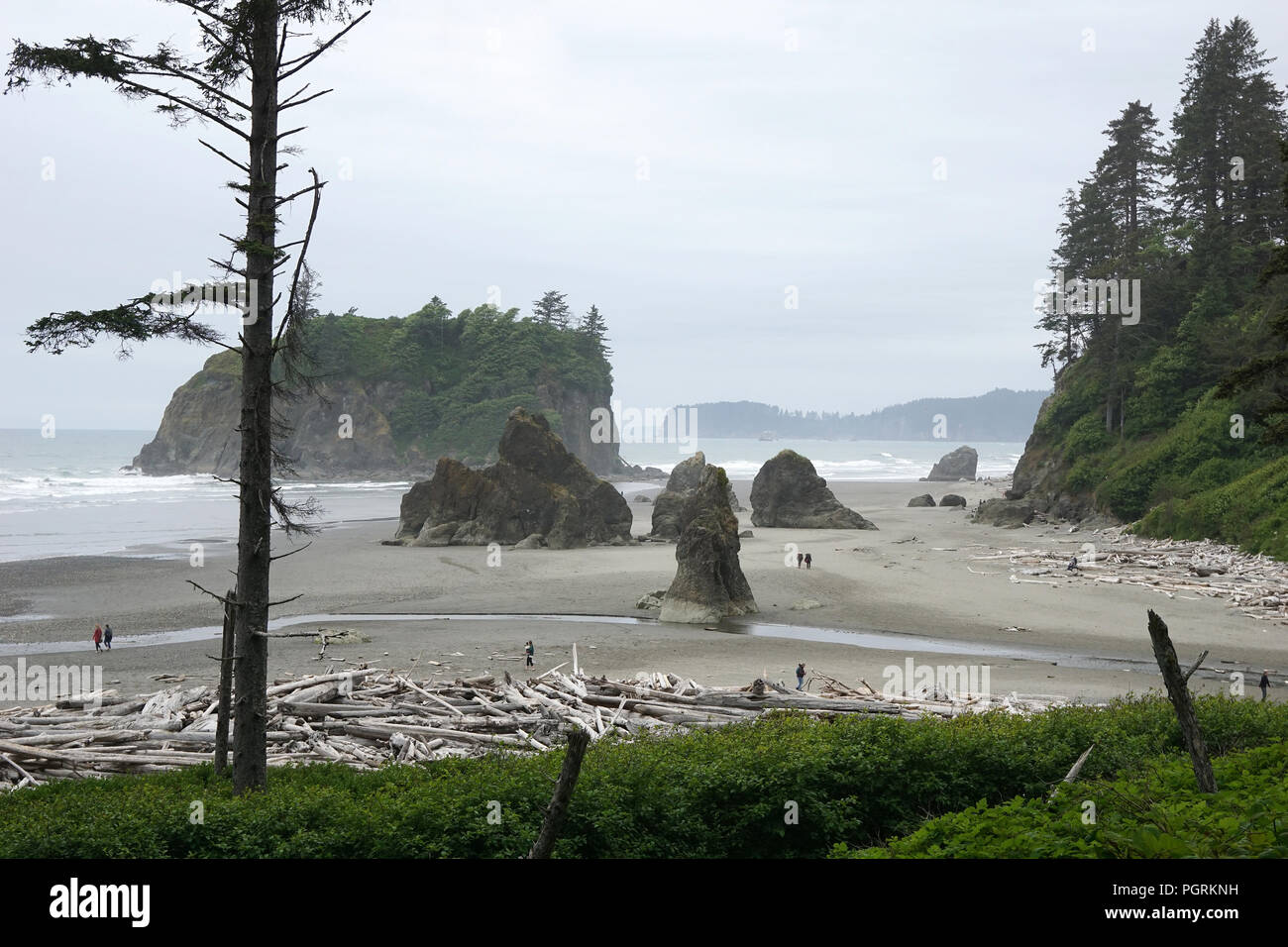 Ruby Beach, Olympic National Park, Washington, USA Stock Photo - Alamy Ruby Beach, Olympic National Park, Washington, USA Stock Photo - Alamy