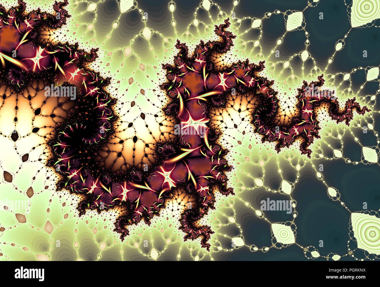 Fractal animal hi-res stock photography and images - Alamy