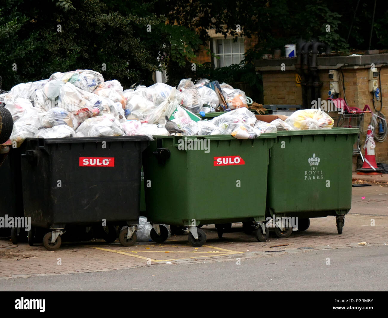 Collected recycling bags ready for collection in Hyde Park, London ...