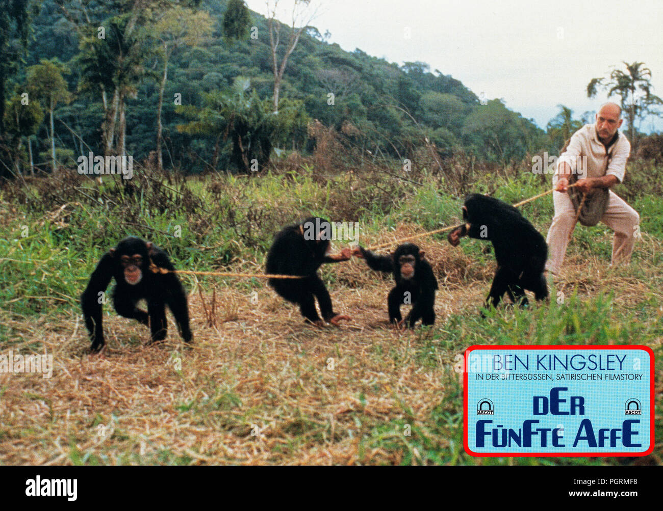 O Quinto Macaco, aka: The Fifth Monkey, aka: Der fünfte Affe, Brasilien ...
