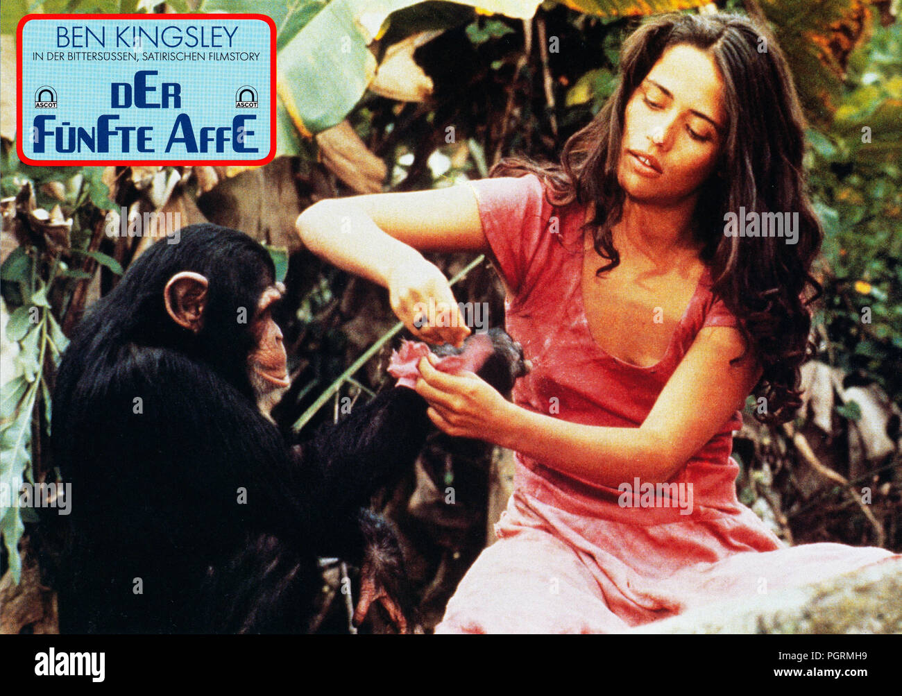 O Quinto Macaco, aka: The Fifth Monkey, aka: Der fünfte Affe, Brasilien ...