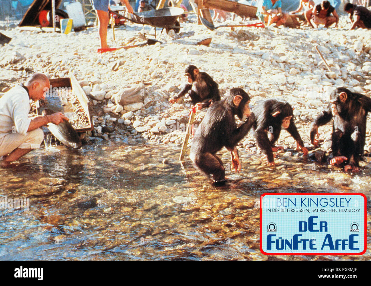 O Quinto Macaco, aka: The Fifth Monkey, aka: Der fünfte Affe, Brasilien ...