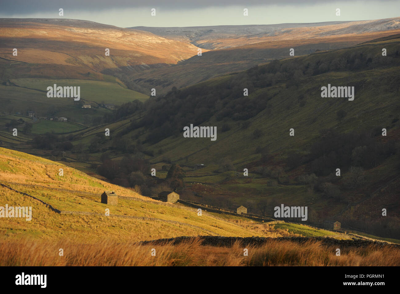 Dry stone walls and old barns, Swaledale, Yorkshire Dales National Park ...