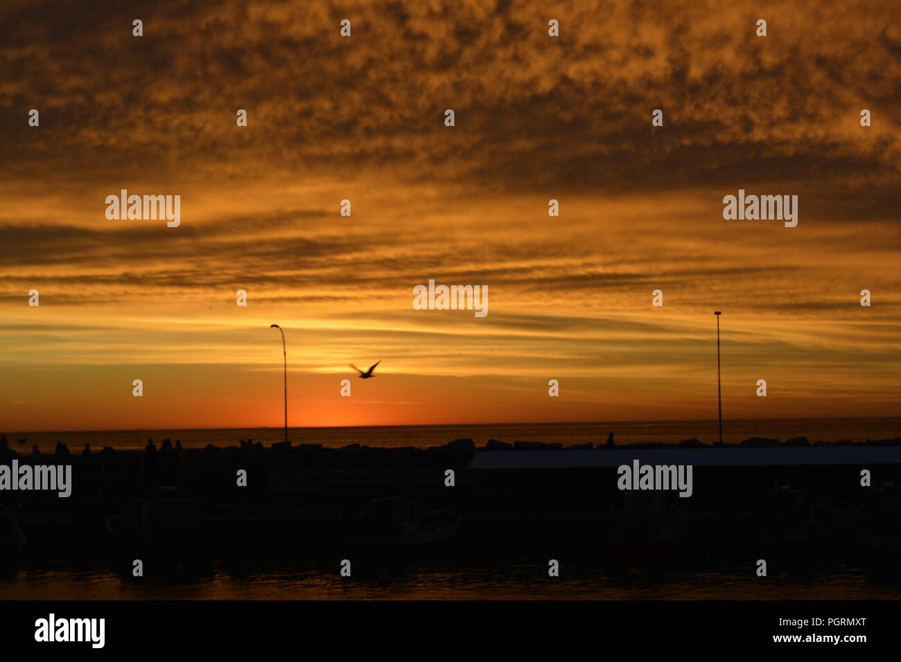 Magic moment photography hi-res stock photography and images - Alamy