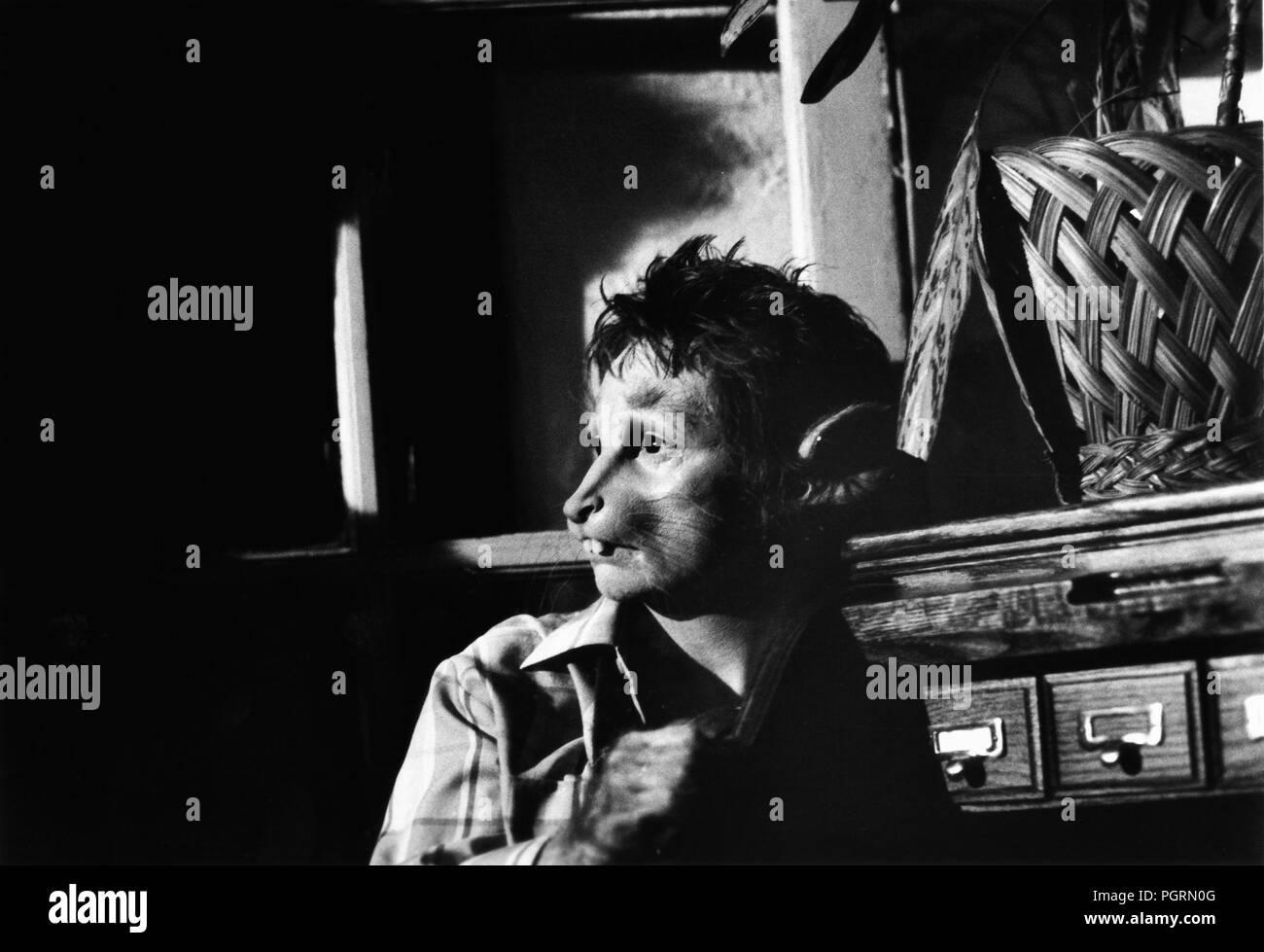 Ratboy, USA 1986, Regie: Sondra Locke, Darsteller: Sharon Baird Stock ...