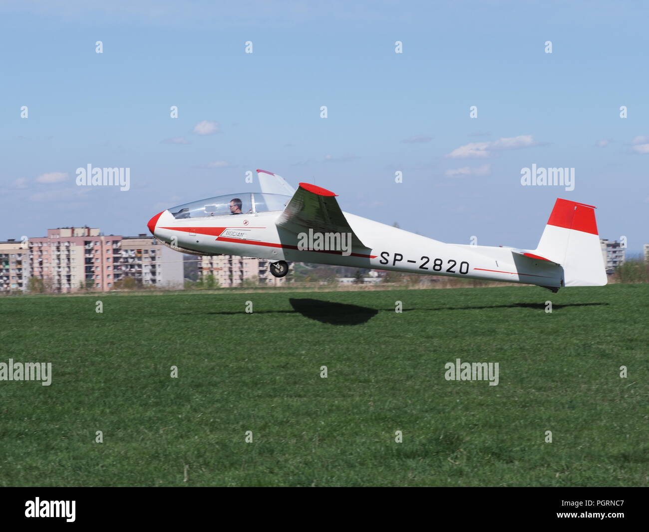 Bocian hi-res stock photography and images - Alamy