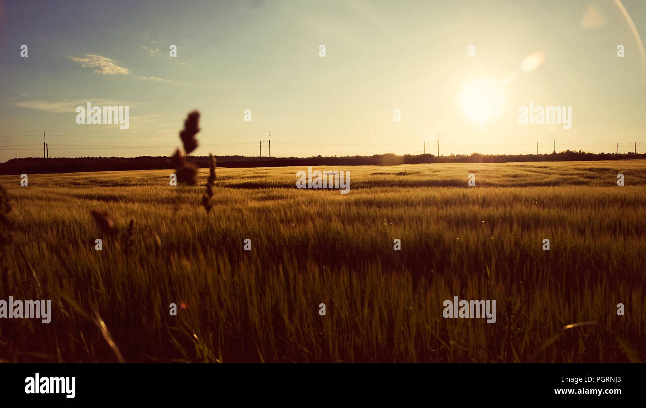 Warm earth colors hi-res stock photography and images - Alamy