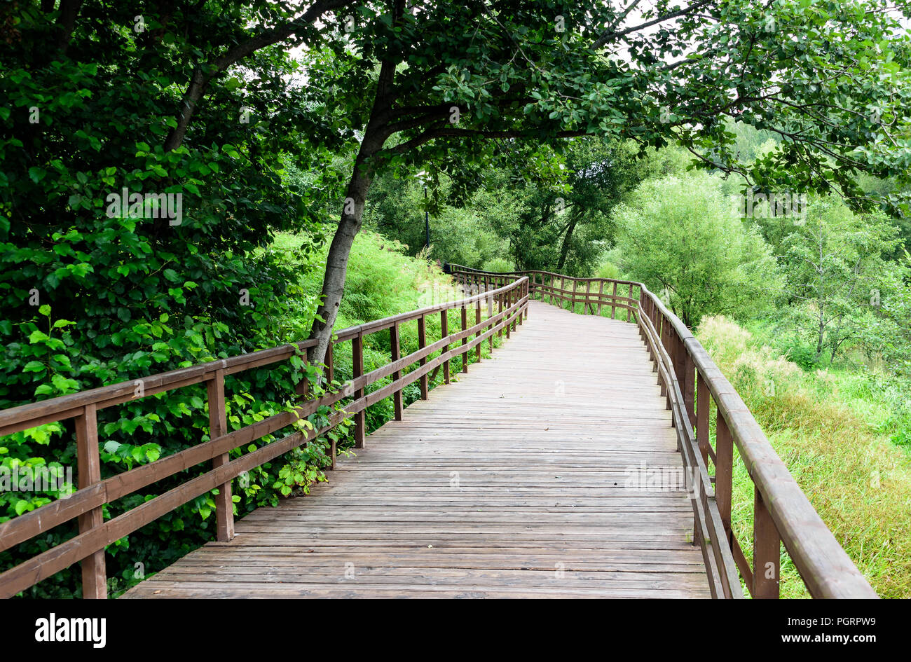 Wooden footpath in a park among trees in summer Stock Photo - Alamy
