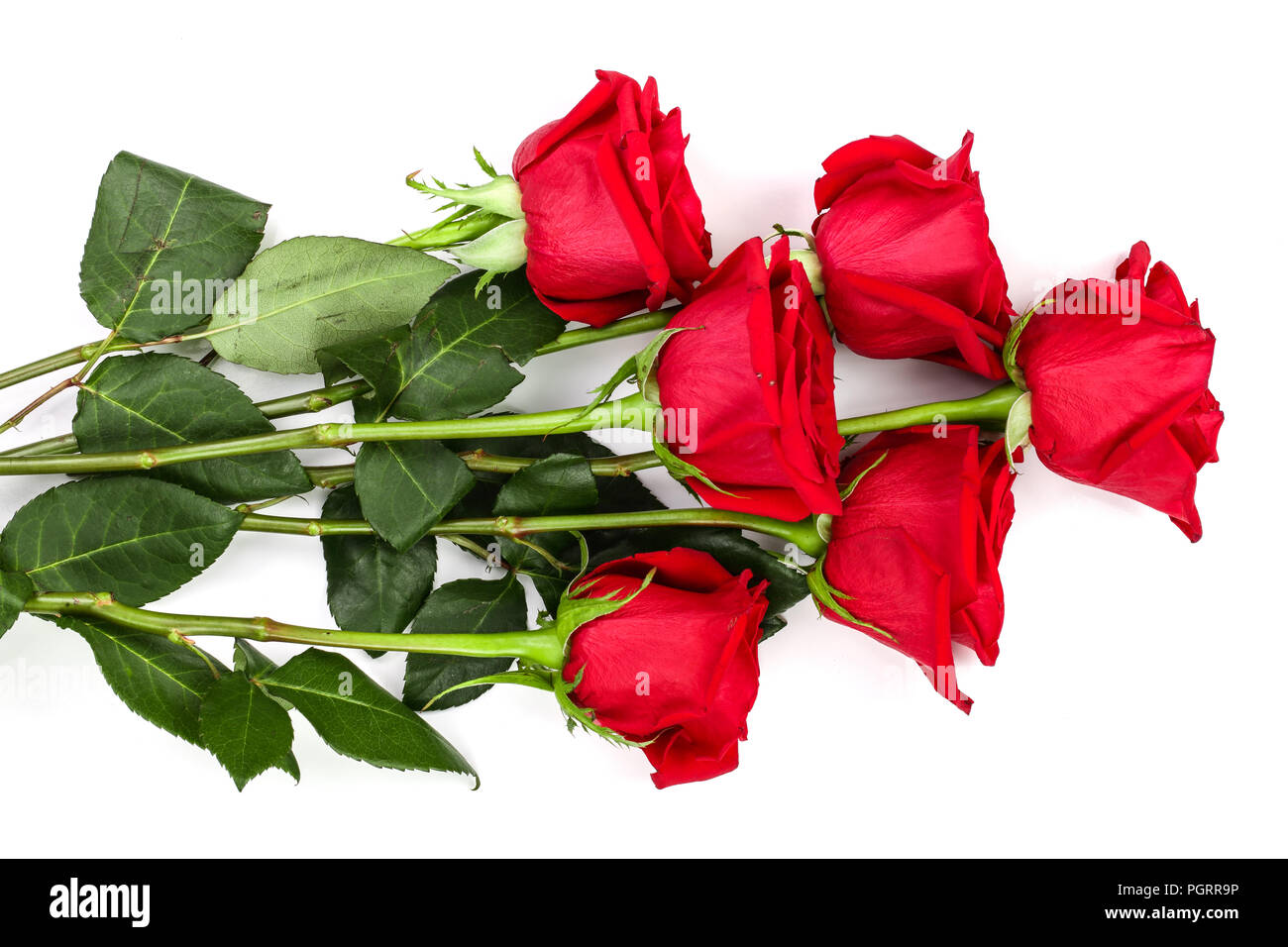 Five Petal Red Rose High Resolution Stock Photography and Images - Alamy