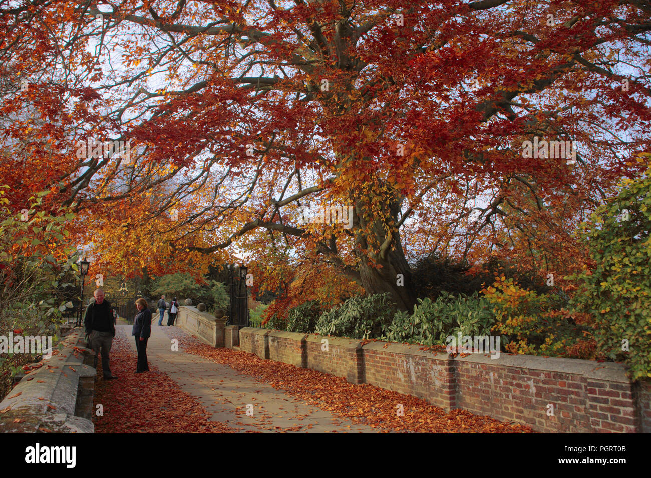 The rear entrance to Clare College from The Backs and Clare Bridge ...