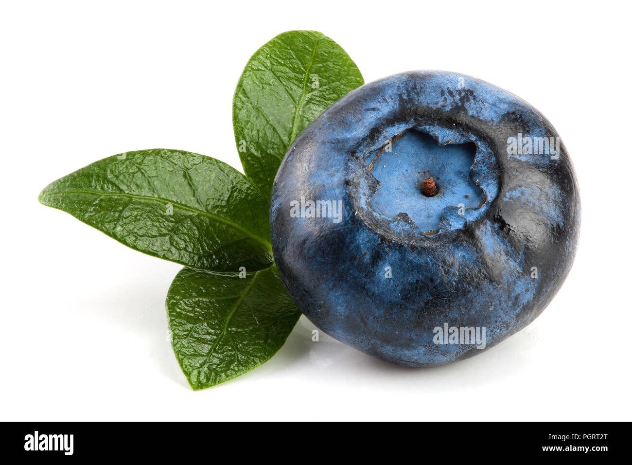 Single fresh blueberry with leaf isolated on white background Stock ...
