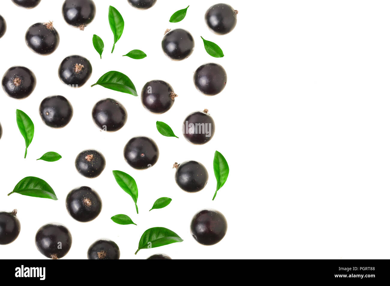 black currant isolated on white background with copy space for your ...