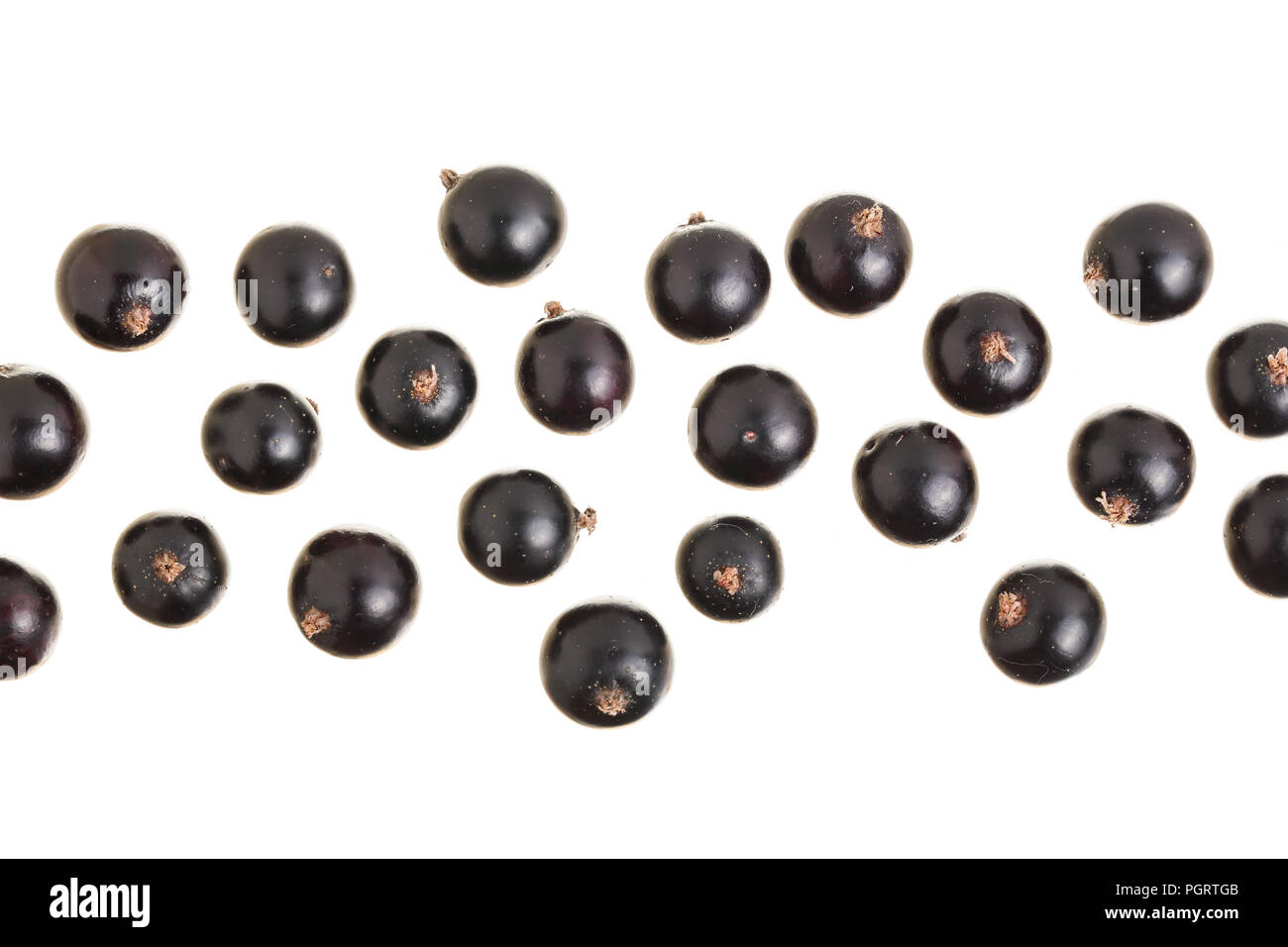 black currant isolated on white background with copy space for your ...