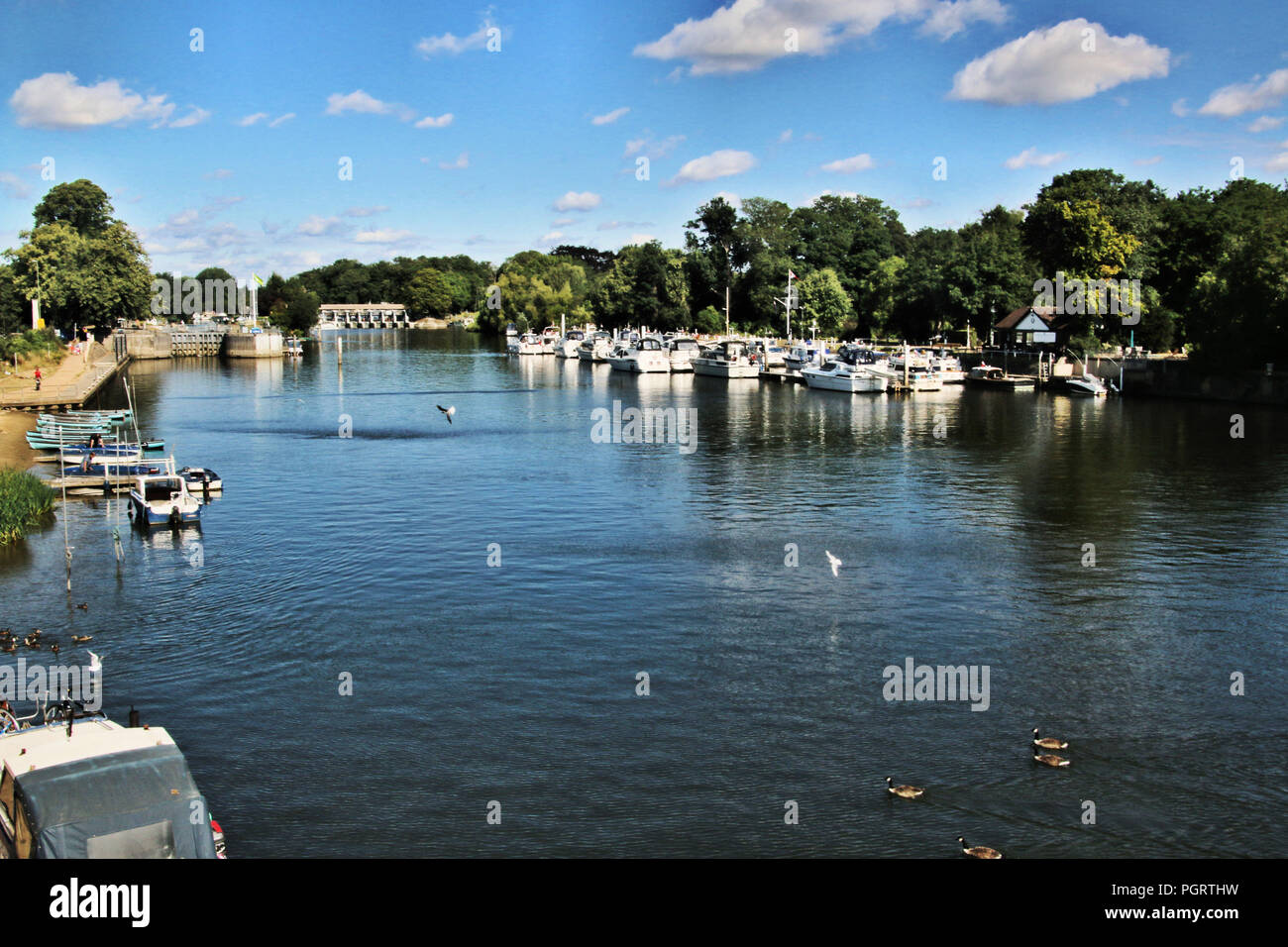 A view of the River Thames at Hampton Court Stock Photo - Alamy