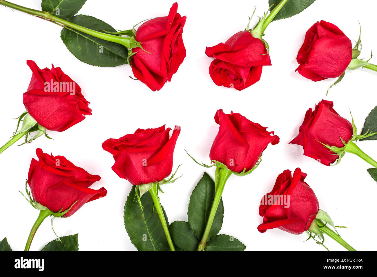 beautiful red rose with leaves isolated on white background. Top view ...