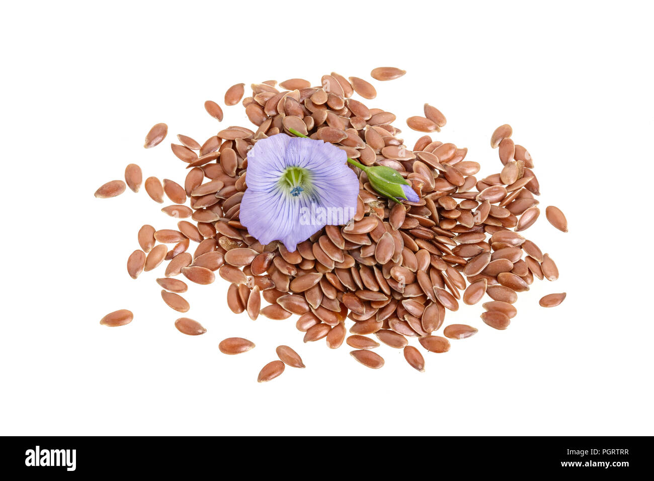 flax seeds with flower isolated on white background Stock Photo - Alamy