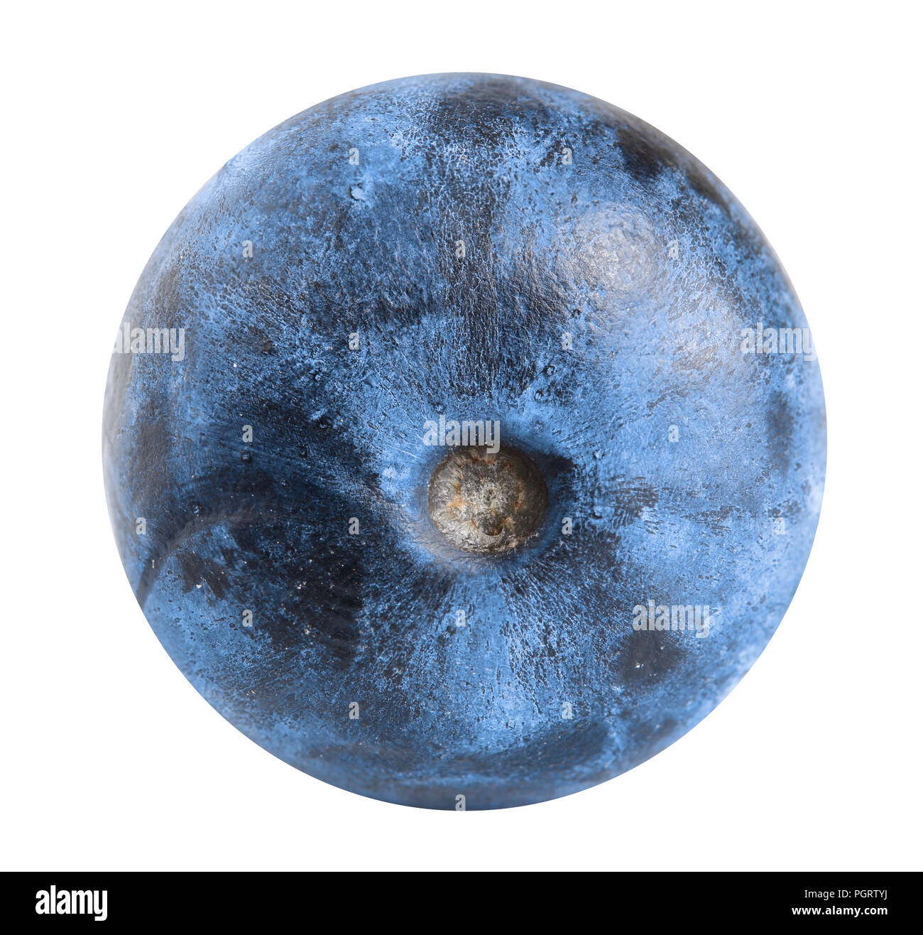 Single fresh blueberry isolated on white background Stock Photo - Alamy