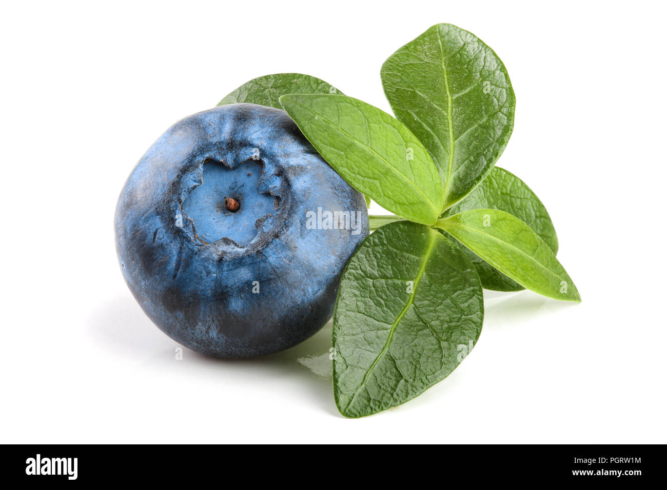 Single fresh blueberry with leaf isolated on white background Stock ...