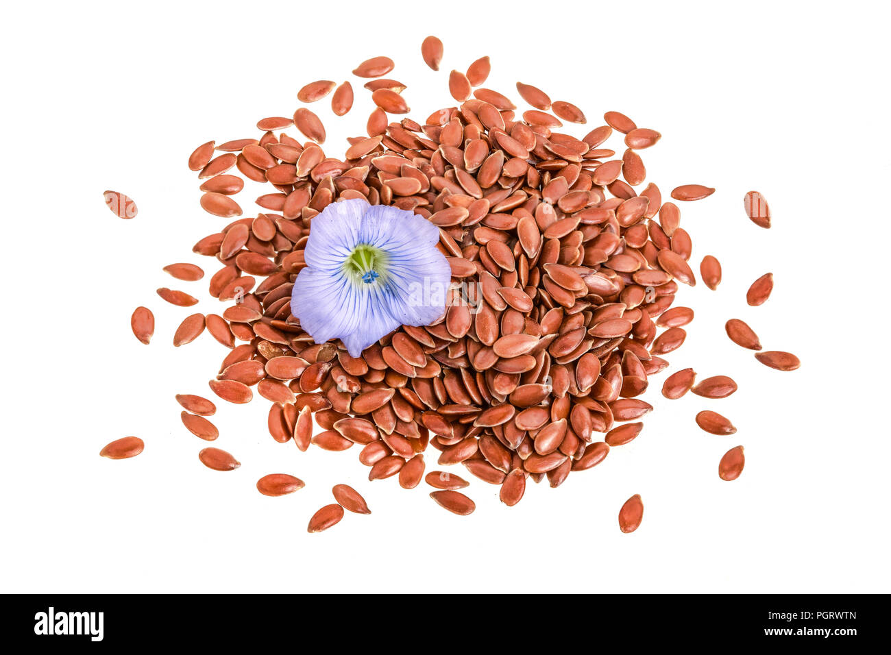 flax seeds with flower isolated on white background Stock Photo - Alamy
