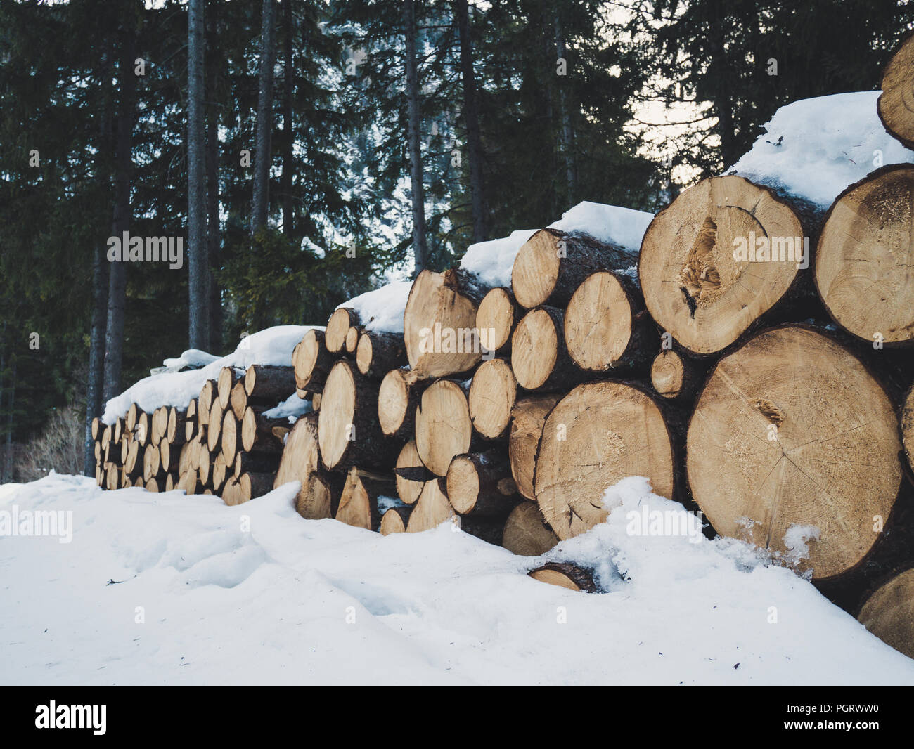 Timber saved hi-res stock photography and images - Alamy