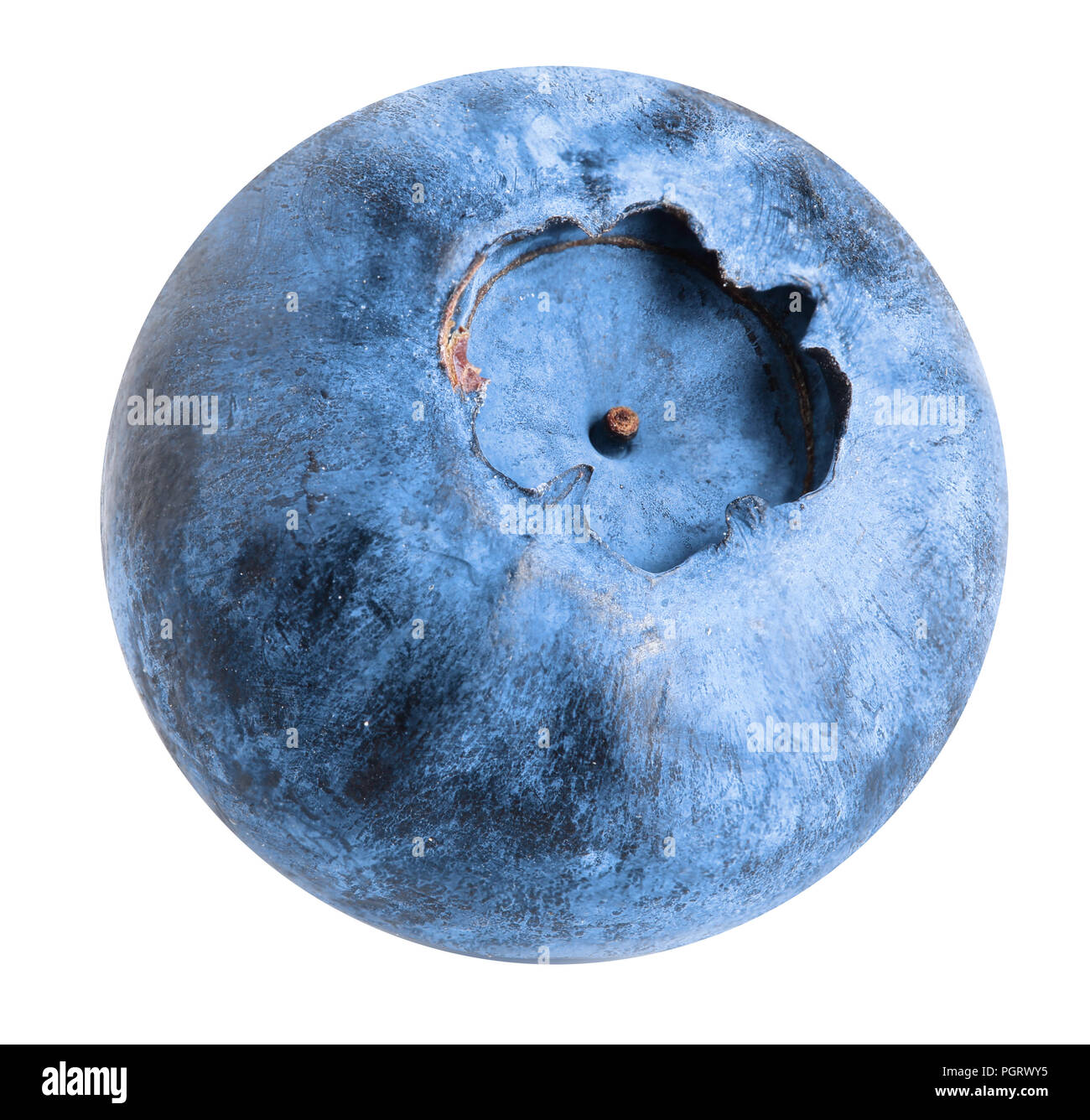 Single fresh blueberry isolated on white background Stock Photo - Alamy